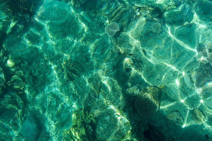 World Oceans Day: Access to Information and Sustainable Development ...